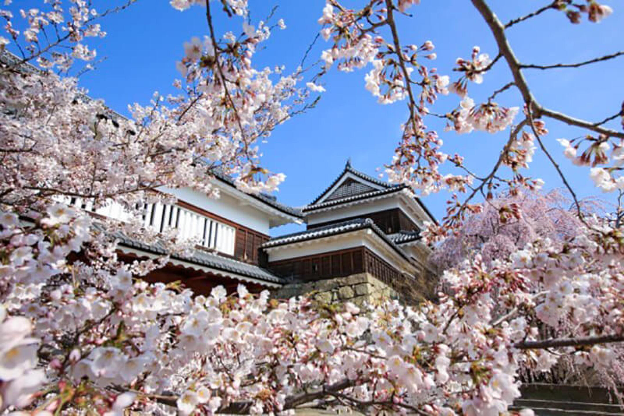 Ueda City | Characteristic Cities and Regions | Area Guide | Go! Nagano